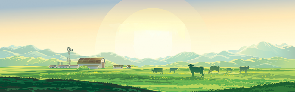 Freshpack Dairy | Freshness At It's Daily Best
