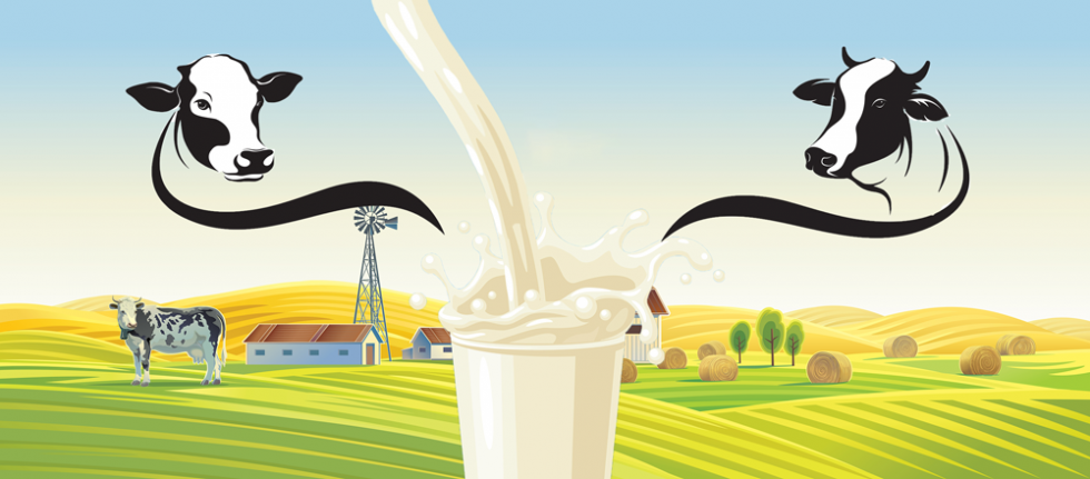 Contact Us-old | Fresh Pack Dairy